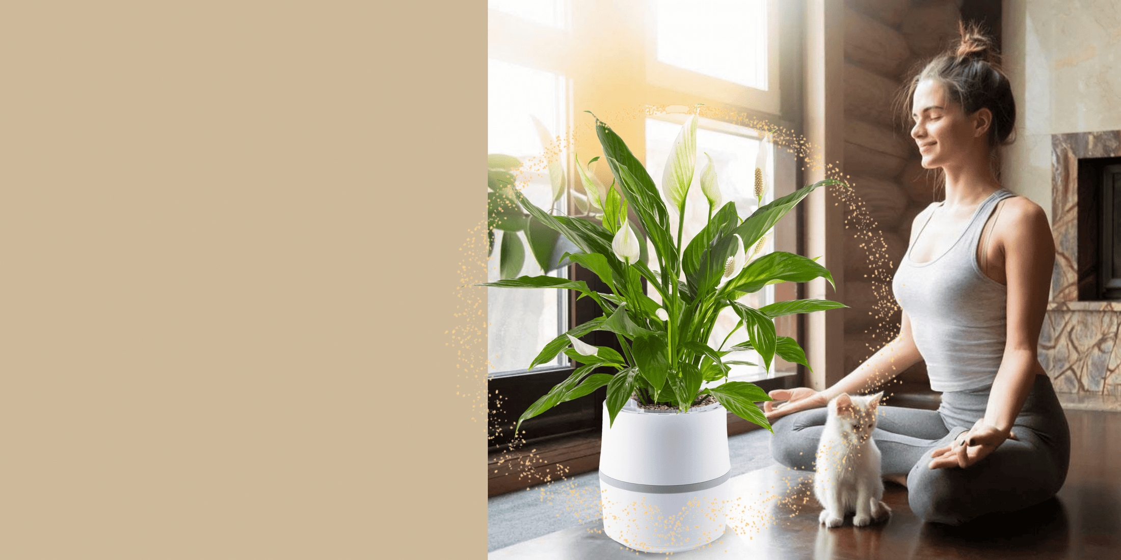 AIRYs natürliche Luftreiniger für ein gesünderes Raumklima – AIRY Green ...