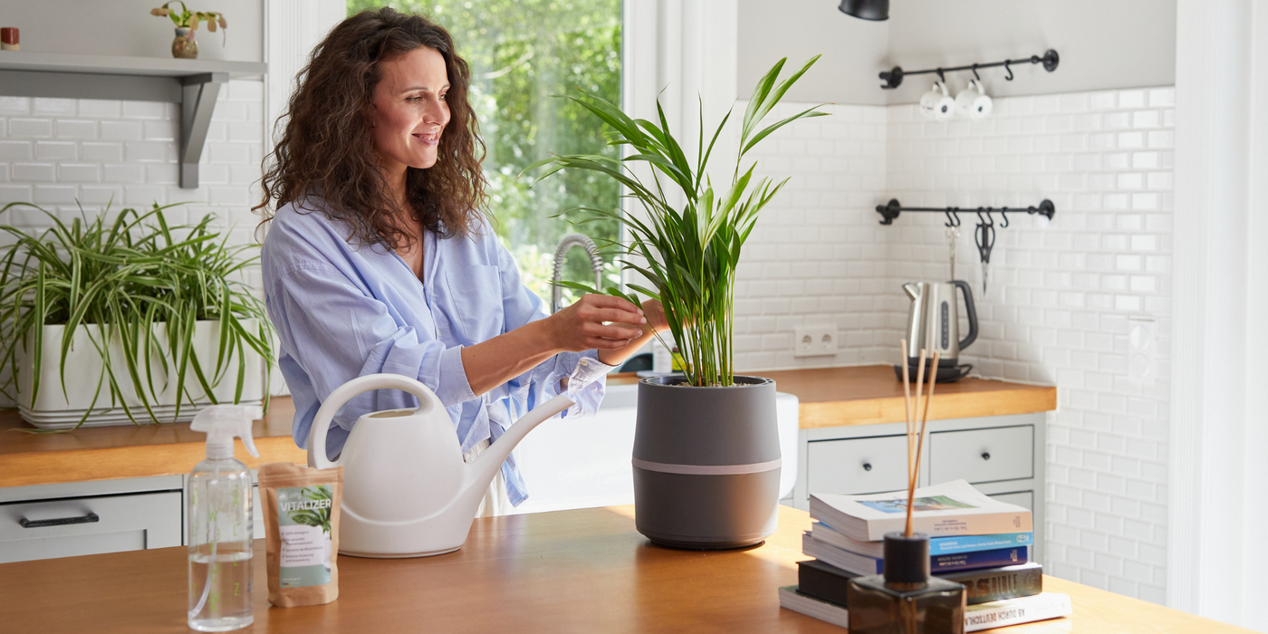 AIRY. Wir produzieren Frischluft für Dich.