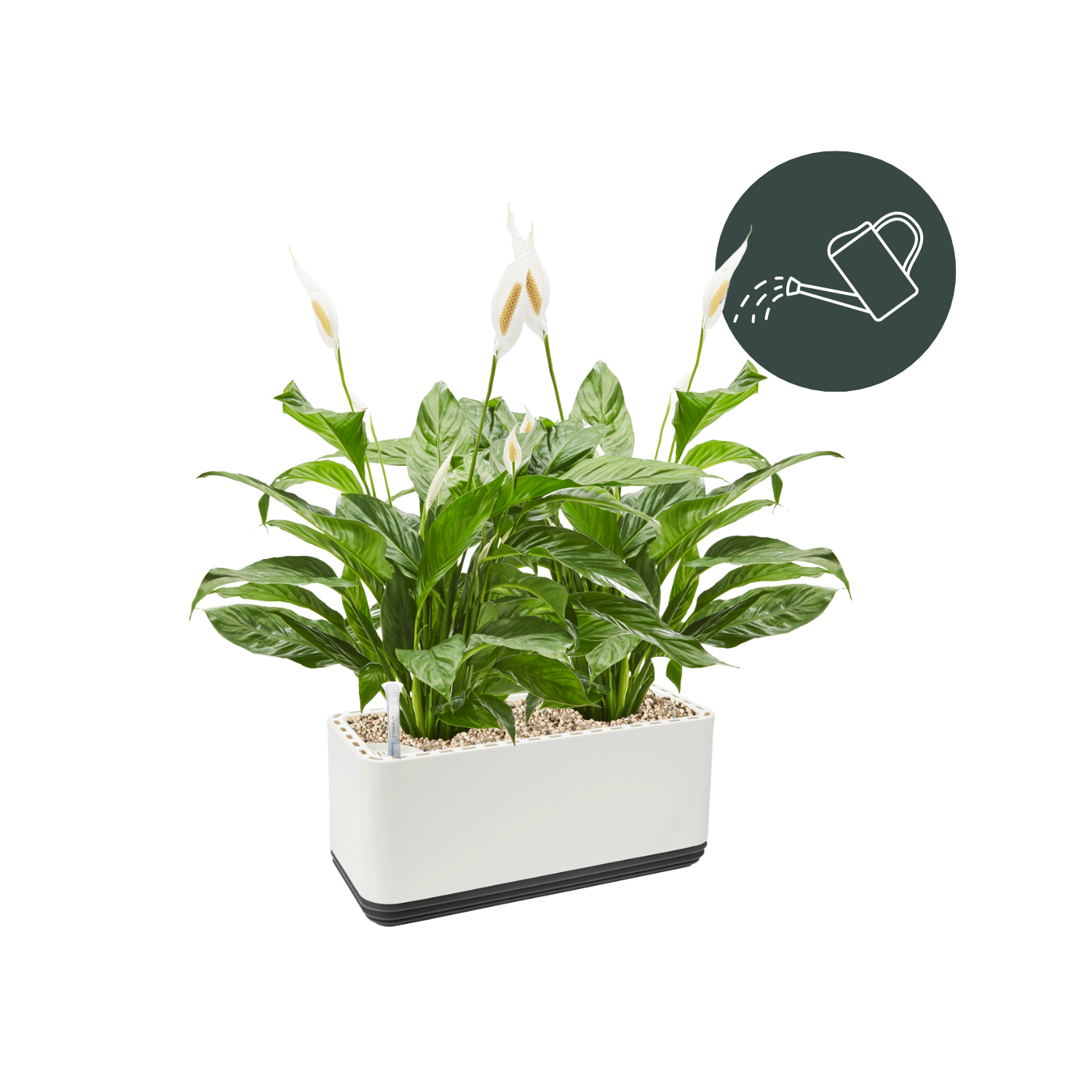 Aufbauvideos zum AIRY S, M und L – AIRY Green Solutions GmbH