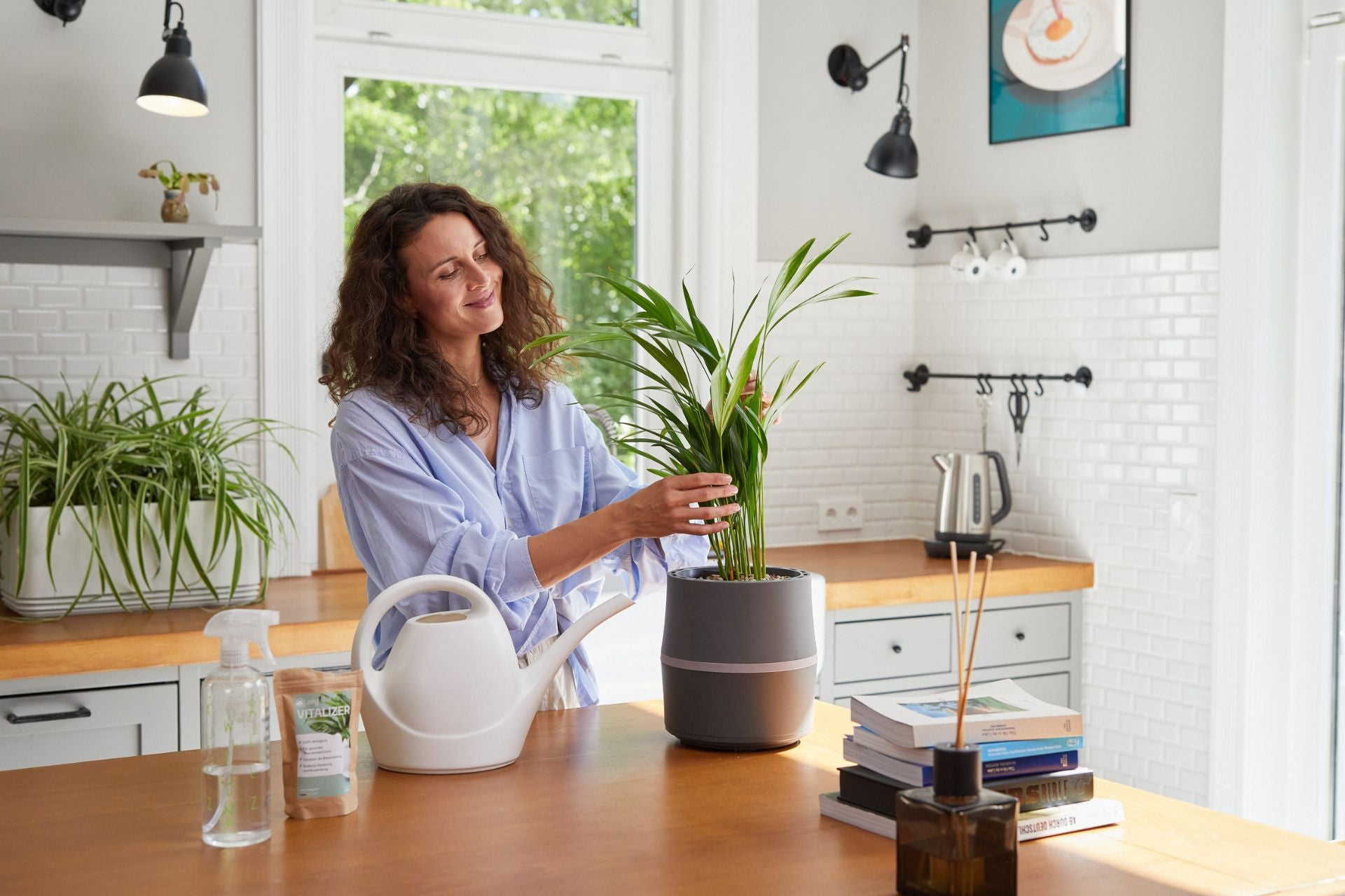 AIRYs natürliche Luftreiniger für ein gesünderes Raumklima – AIRY Green ...